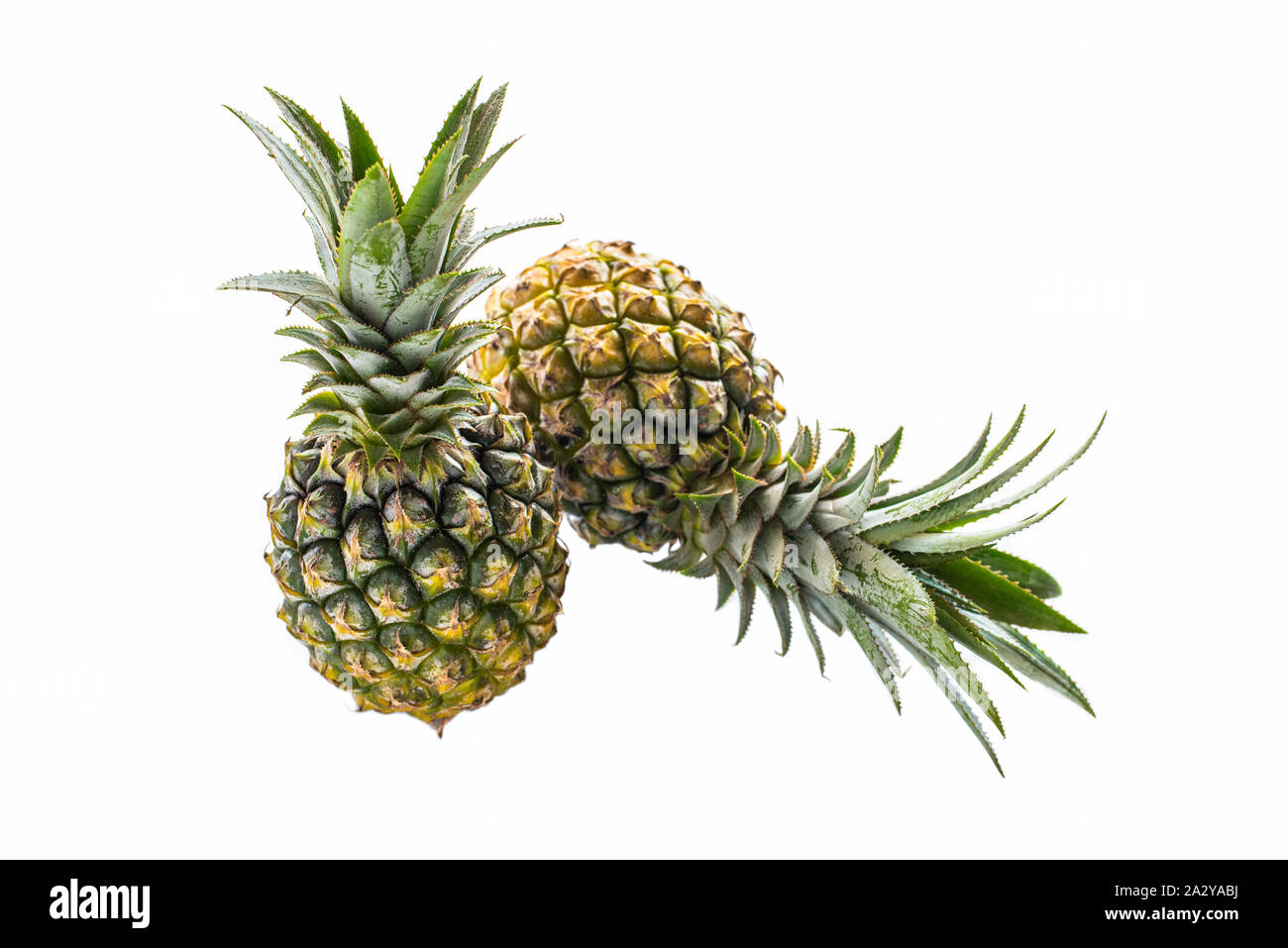 Two Pineapple isolated on white background Stock Photo - Alamy