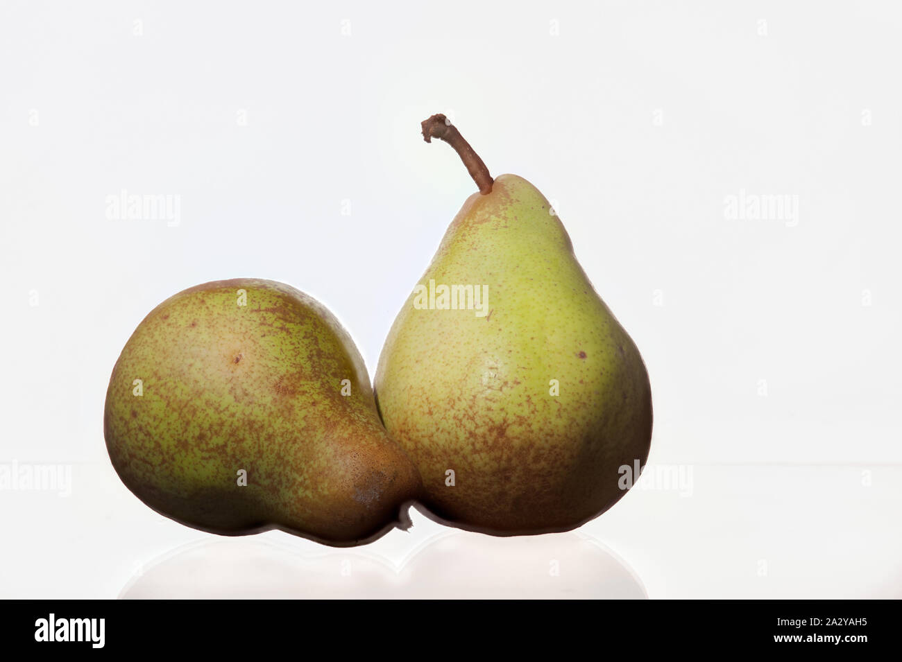 Two pears on a white background with one pear standing and the other ...