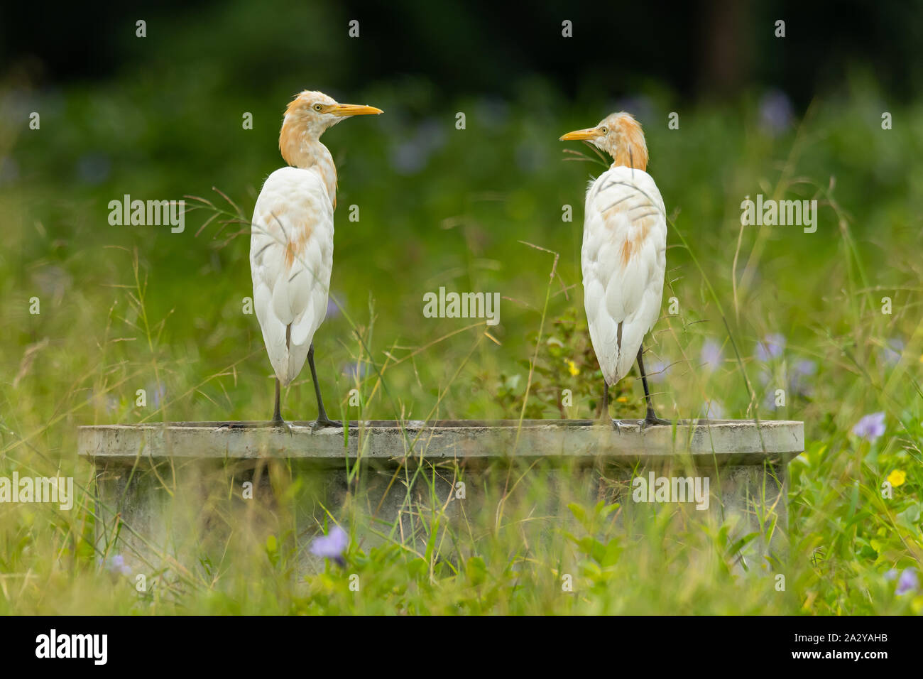 Man made well hi-res stock photography and images - Alamy