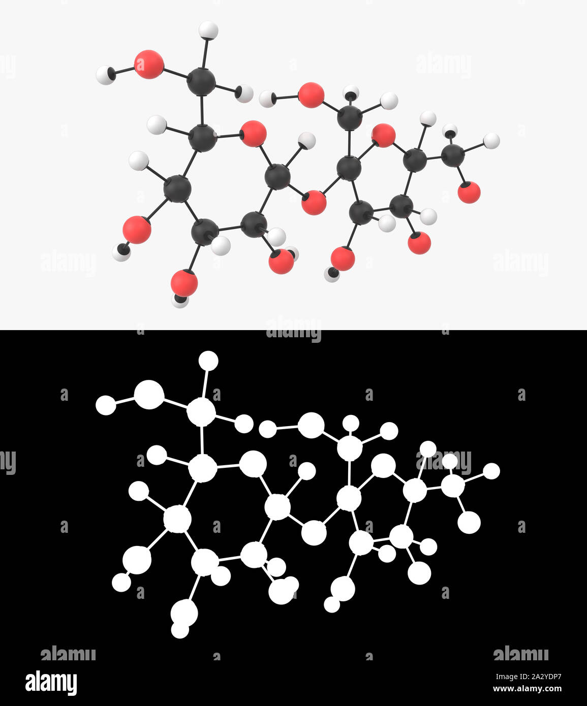 3d Sucrose Molecule