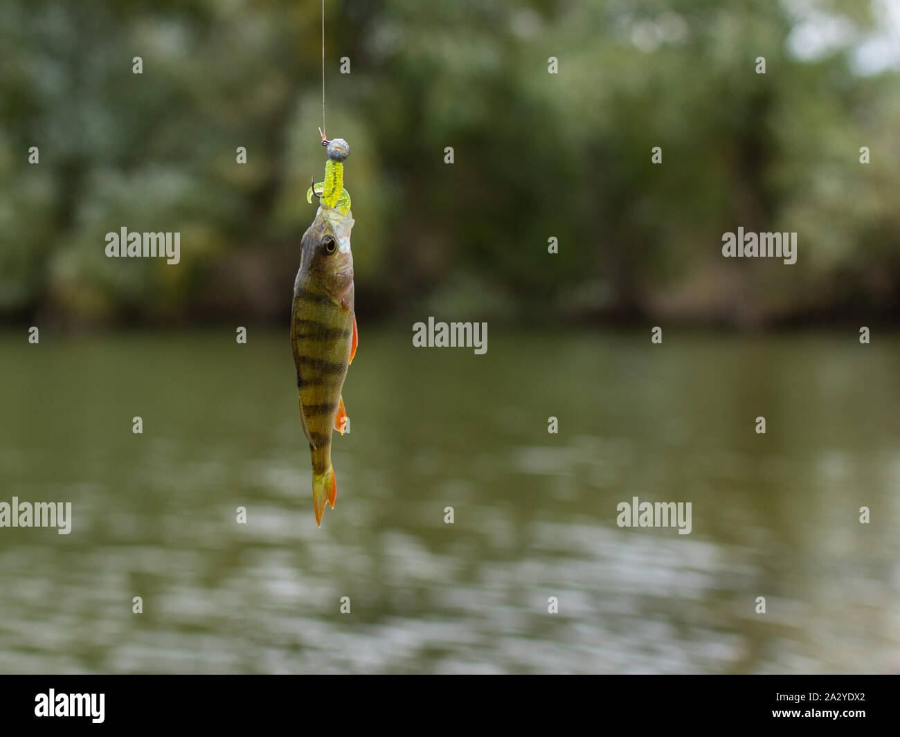 Little fish on a hook hi-res stock photography and images - Alamy