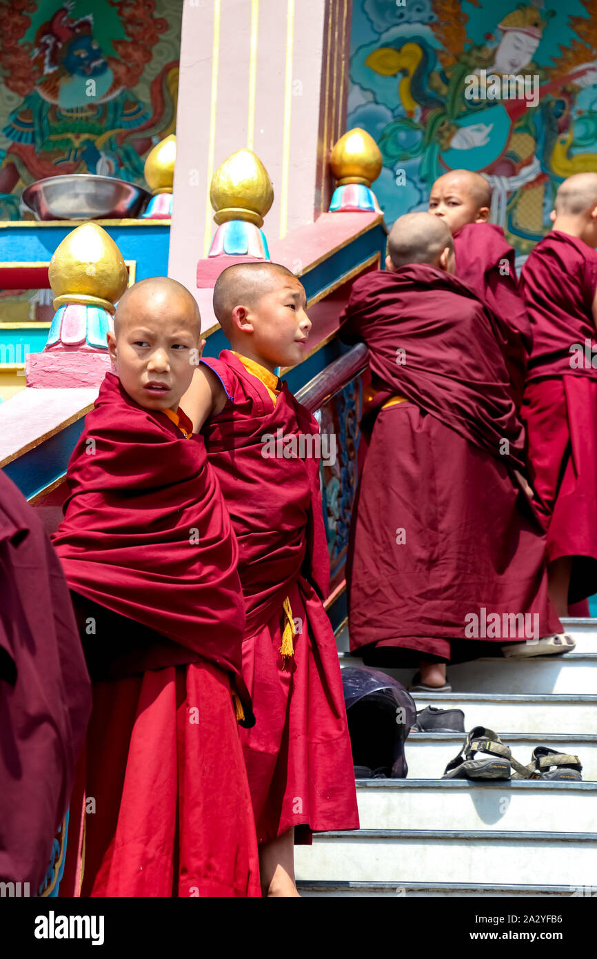 Buddhist monk standing in a queue at a monastery Stock Photo - Alamy