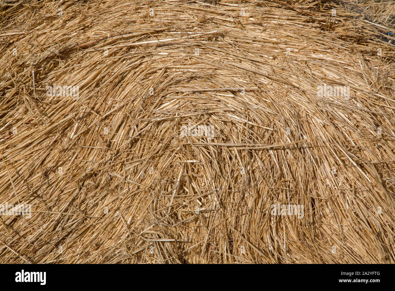 Hay Barrel High Resolution Stock Photography and Images - Alamy