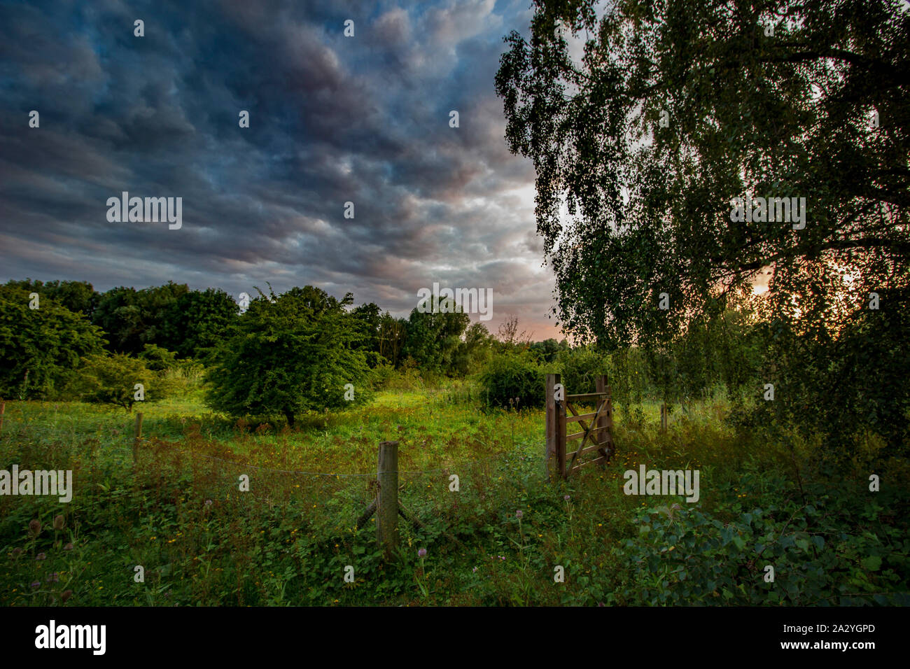 Sky sunset green countryside country trees tree fields walk walking hi ...