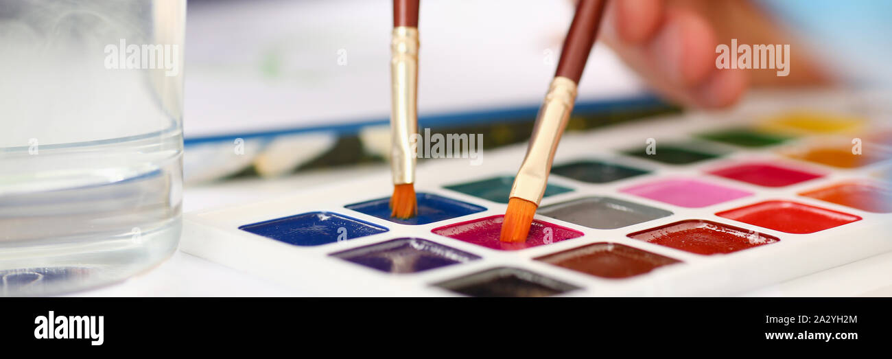 Brush point in watercolor paint closeup Stock Photo - Alamy