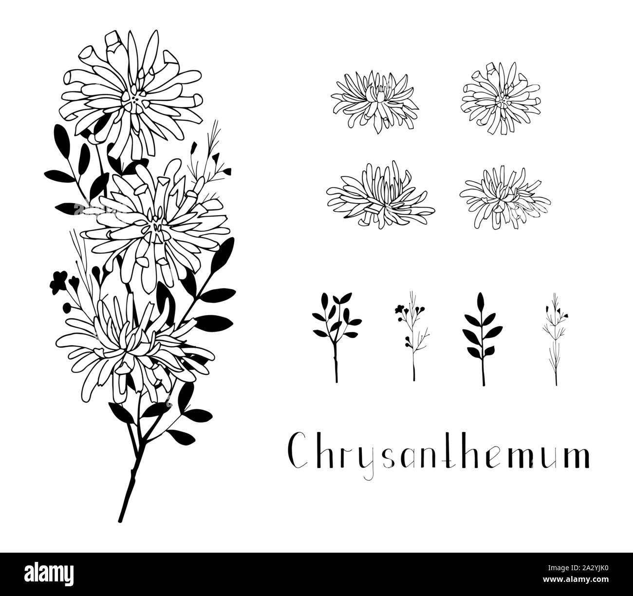 Background design various herbs Black and White Stock Photos & Images ...