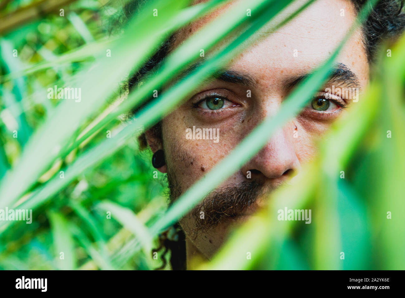 Boho Green High Resolution Stock Photography and Images - Alamy