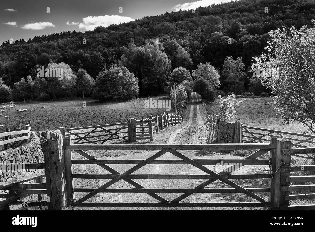 White gravel path pathway hi-res stock photography and images - Alamy