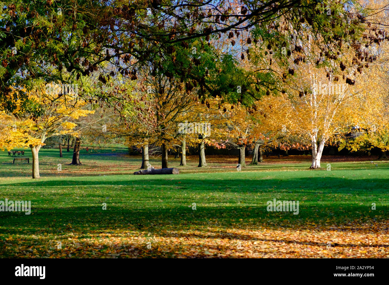 Stonegrove Park, Edgware, Northwest London in Autumn with fallen leaves ...
