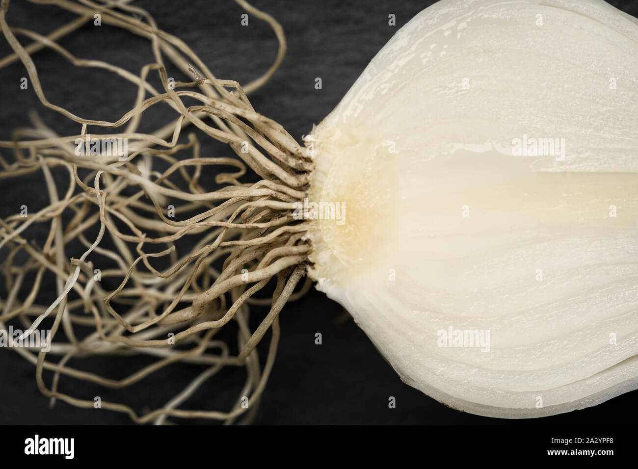 Japanese bunched onion hi-res stock photography and images - Alamy