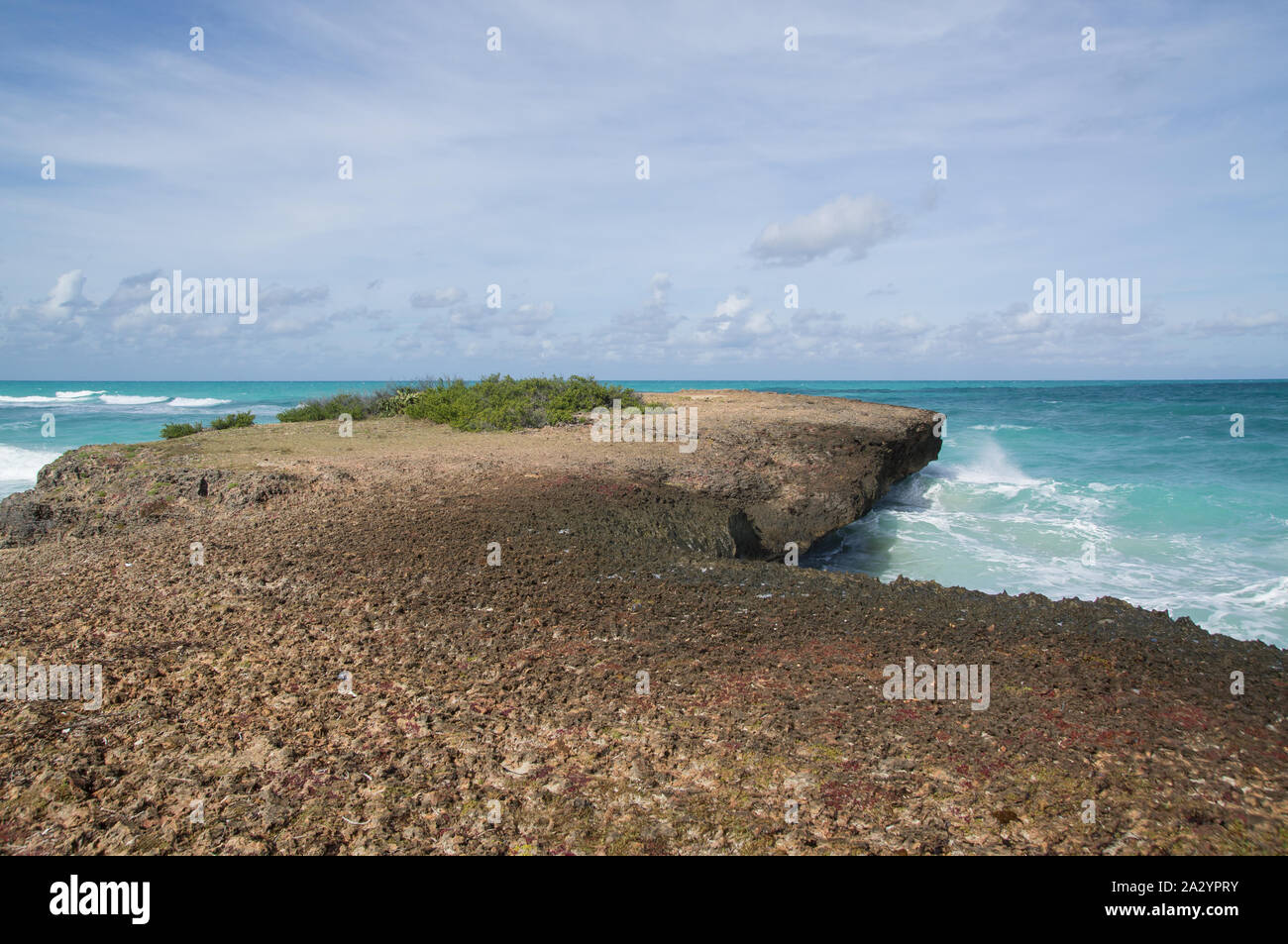 A cliff on Cuba from above, overgrown with bushes. View over the sea ...
