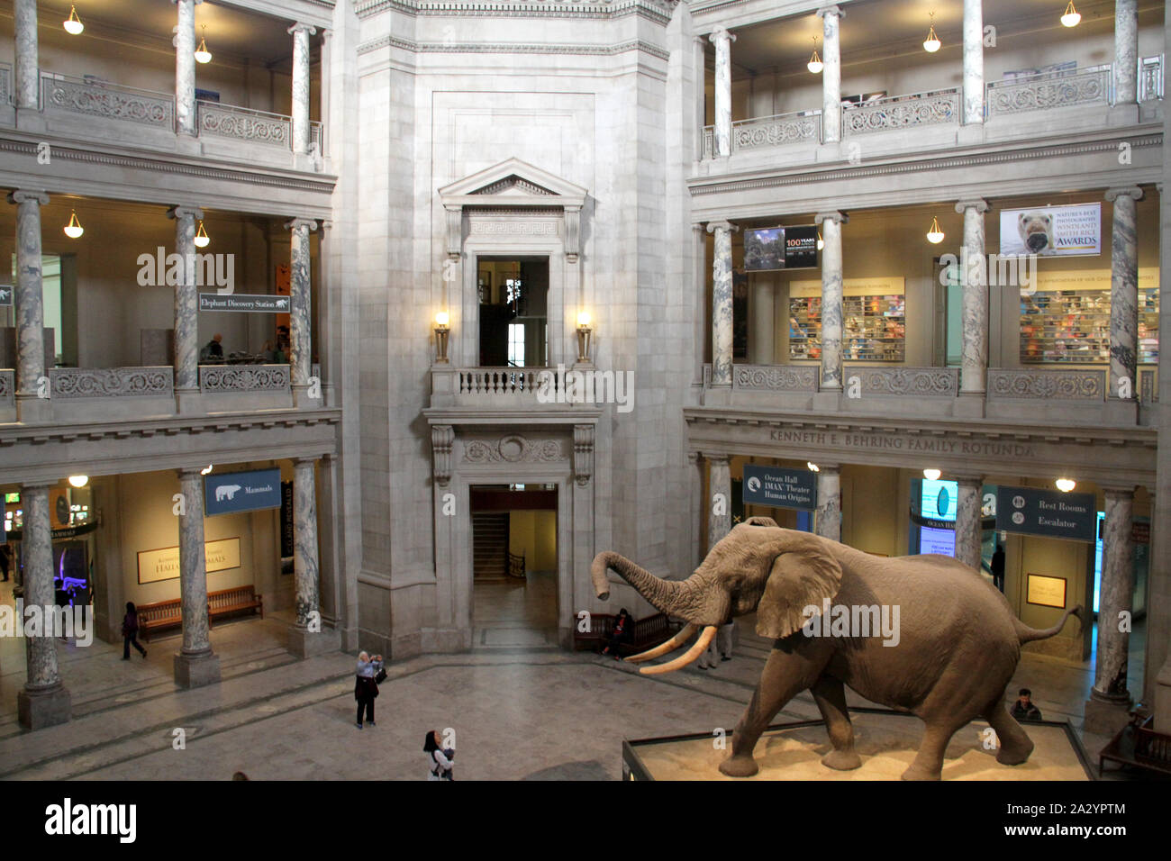 Smithsonian national museum of natural history rotunda hi-res stock ...