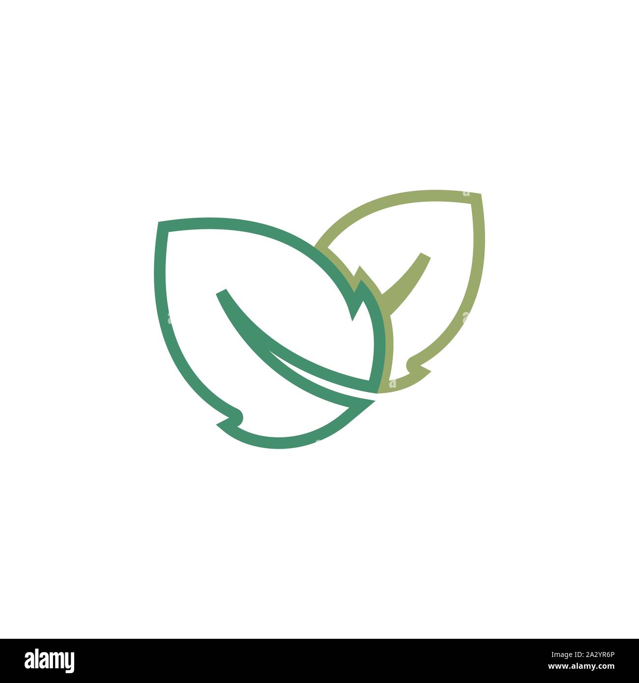 Abstract Mint Leaves Vector Illustration High Resolution Stock ...