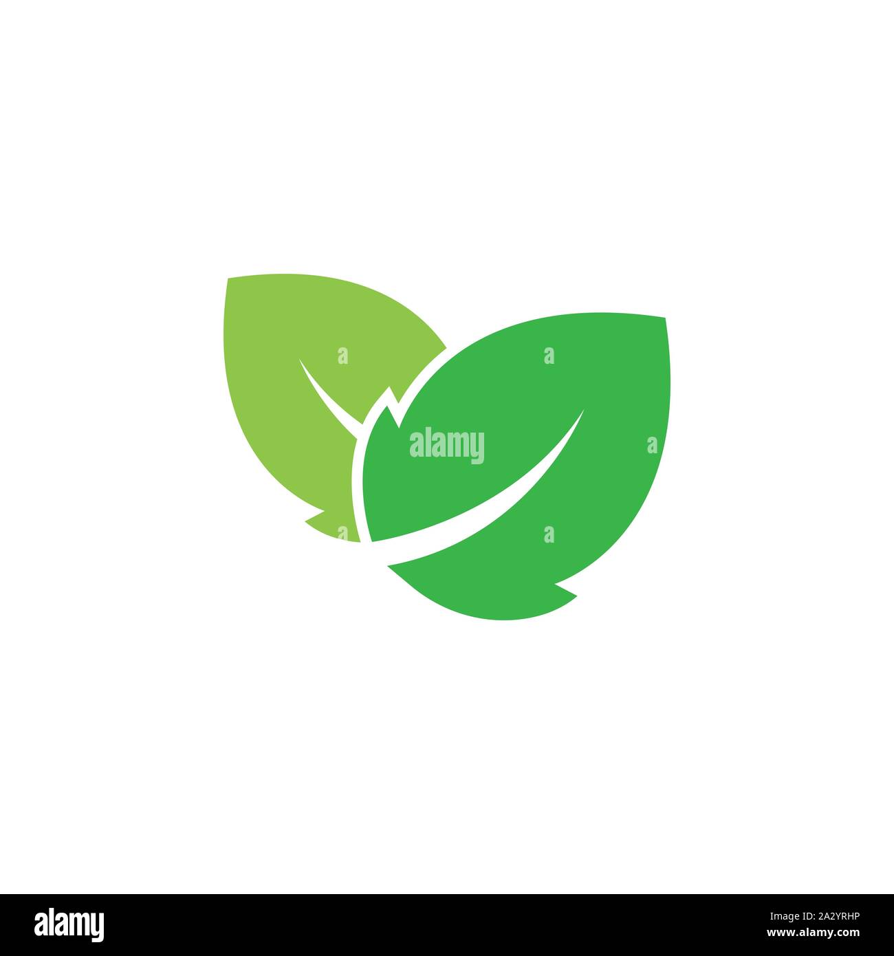 Abstract Mint Leaves Vector Illustration High Resolution Stock ...