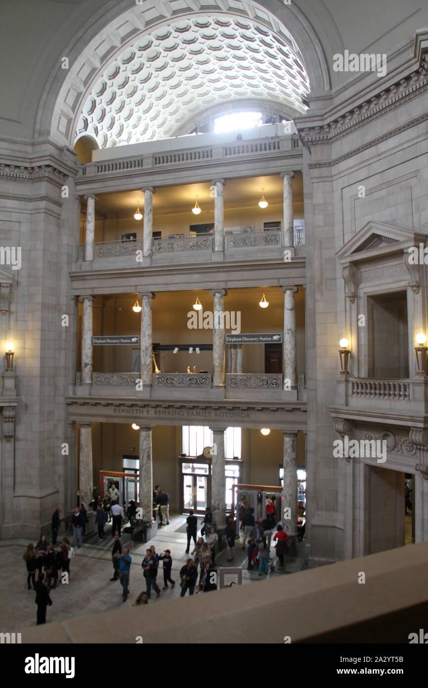 Architecture of the Rotunda inside the National Museum of Natural ...