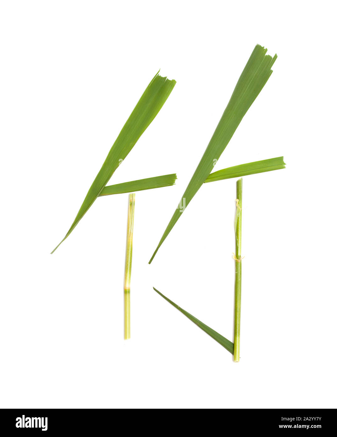 Chinese character zhu, Bamboo, made of young steam and leaves isolated ...