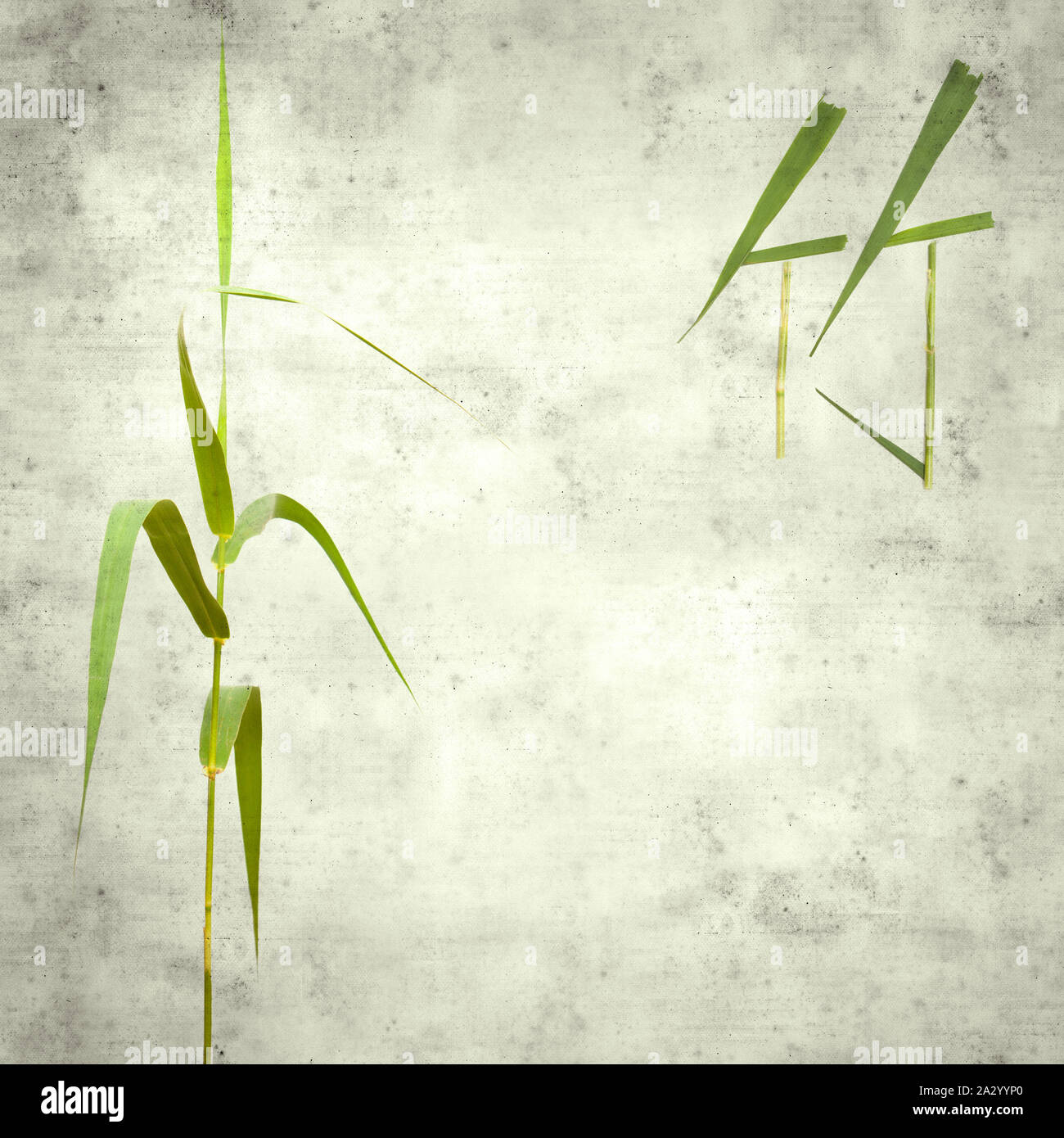 Writing Reeds High Resolution Stock Photography and Images - Alamy