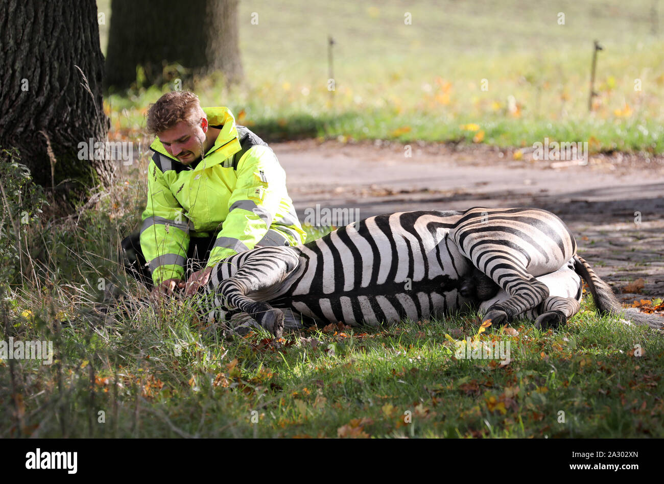 Circus tamer hi-res stock photography and images - Alamy