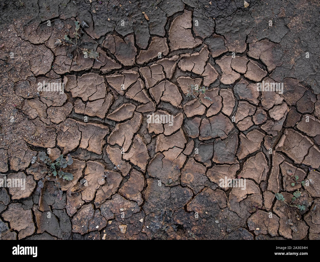 Natural mosaic formed by cracks in dry soil. Dead nature. Background ...