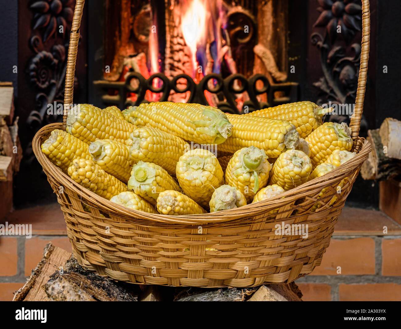 A wicker basket to the top filled with ears of ripe corn. In the ...
