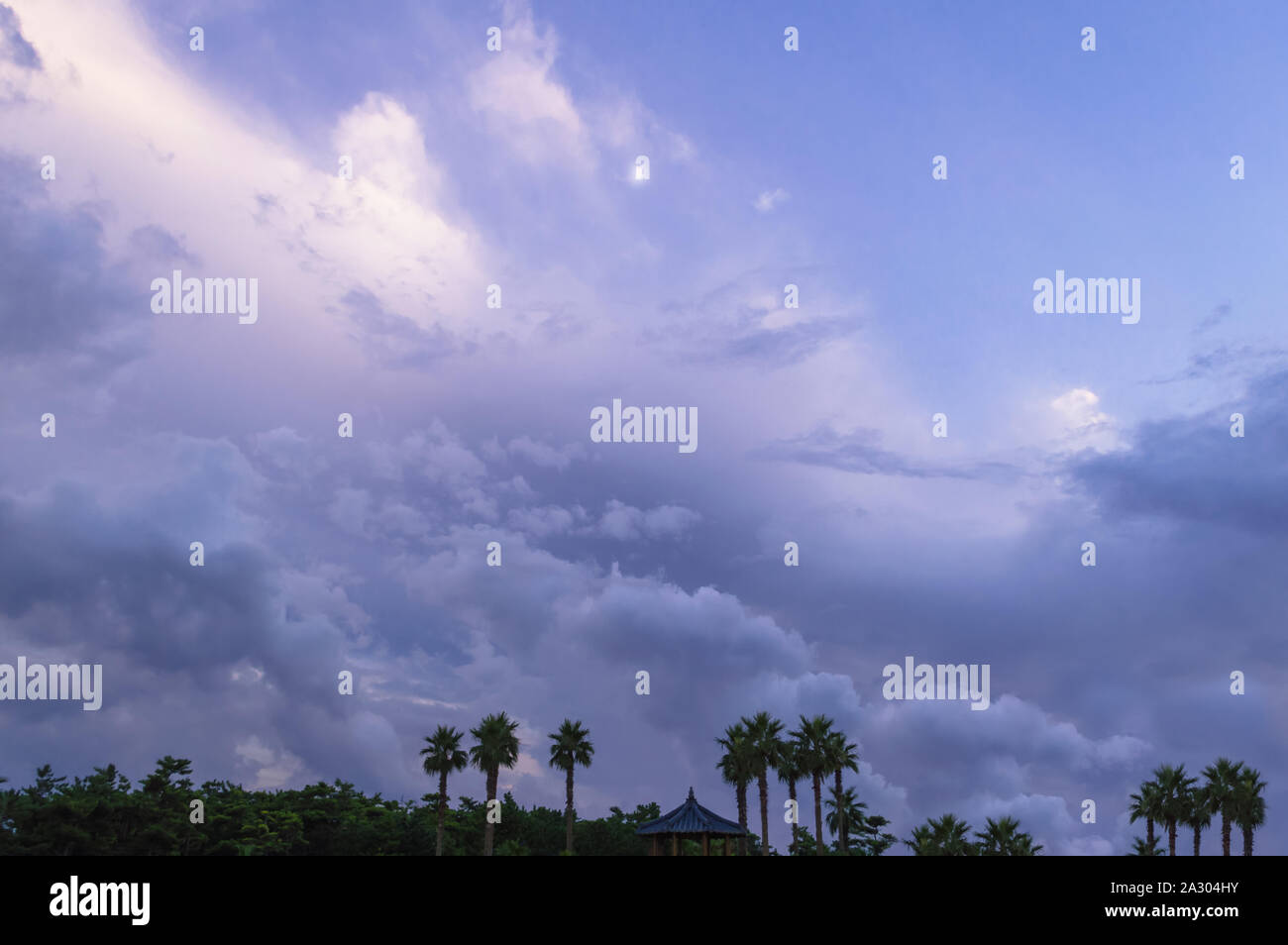 majestic moon and skies over palm trees and asian gazebo Stock Photo ...