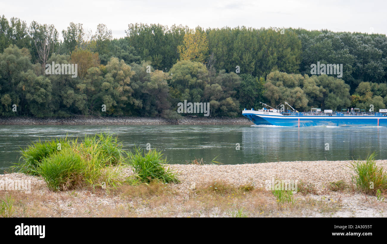 Nagybajcs Hungary 09 30 2019 a cargo ship passing through the Danube ...