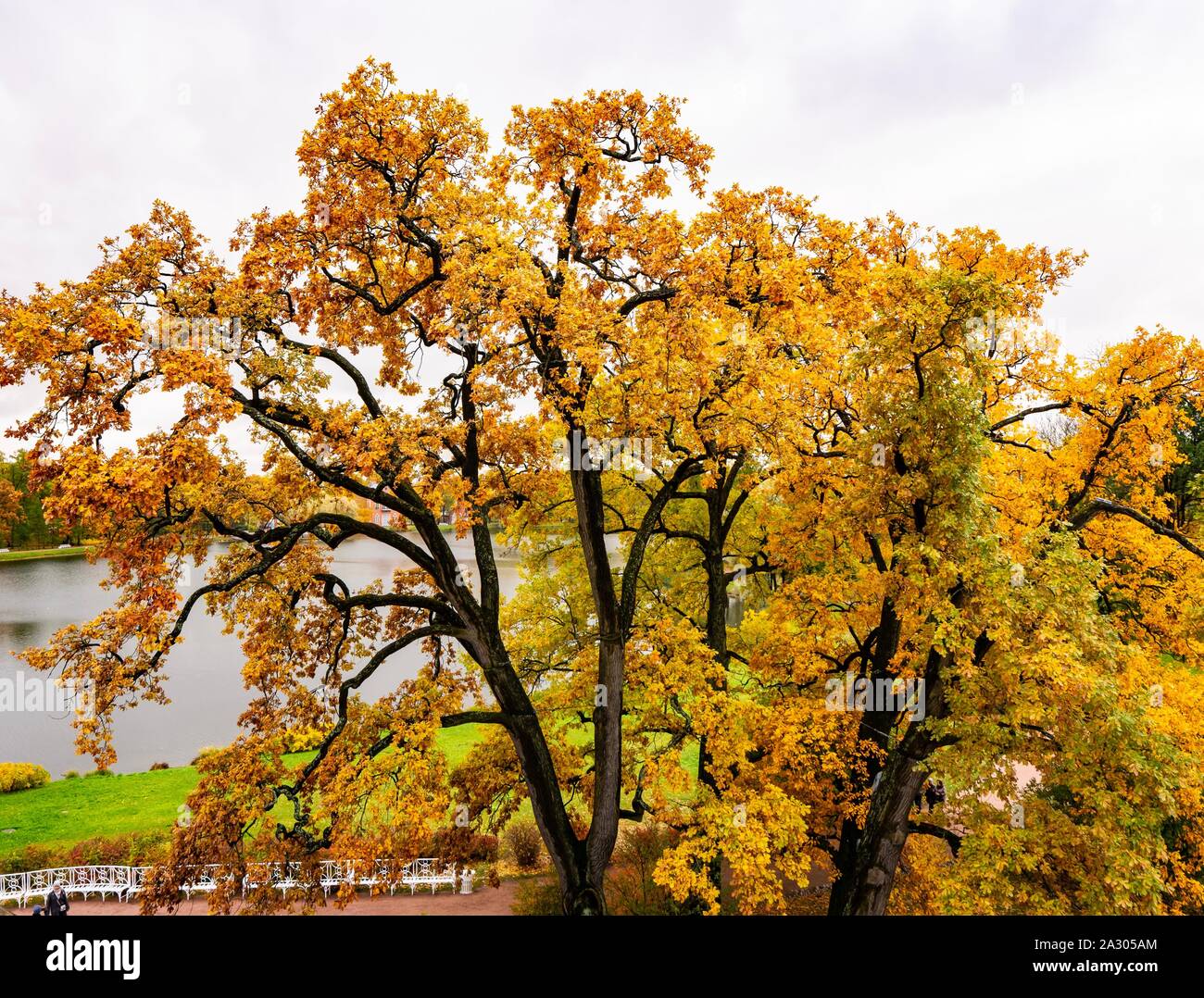 Tsar’s Village (Pushkin), Russia, 4th October 2019. Autumn colours at ...