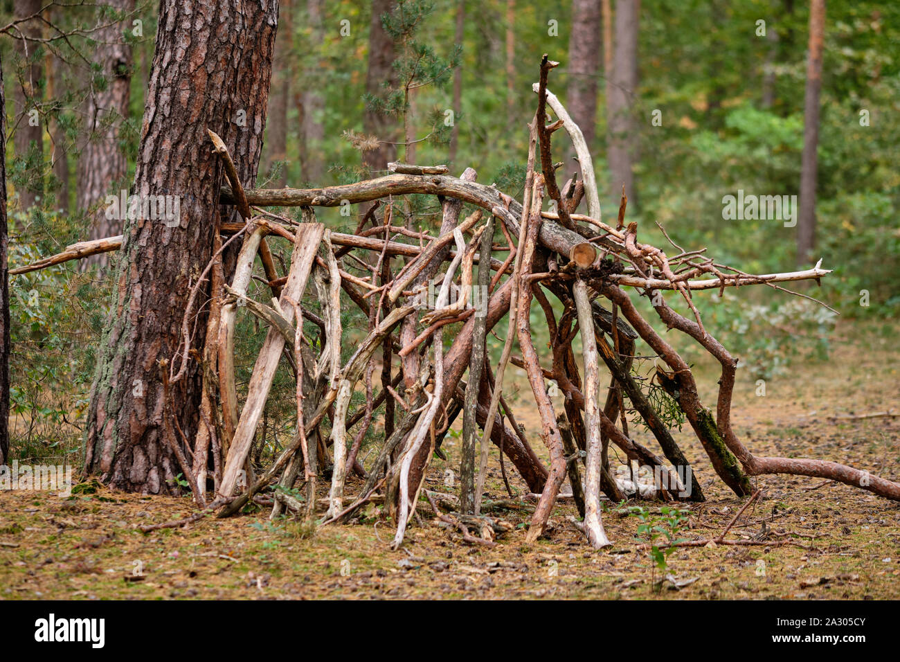 Hut Made Of Branches High Resolution Stock Photography and Images - Alamy