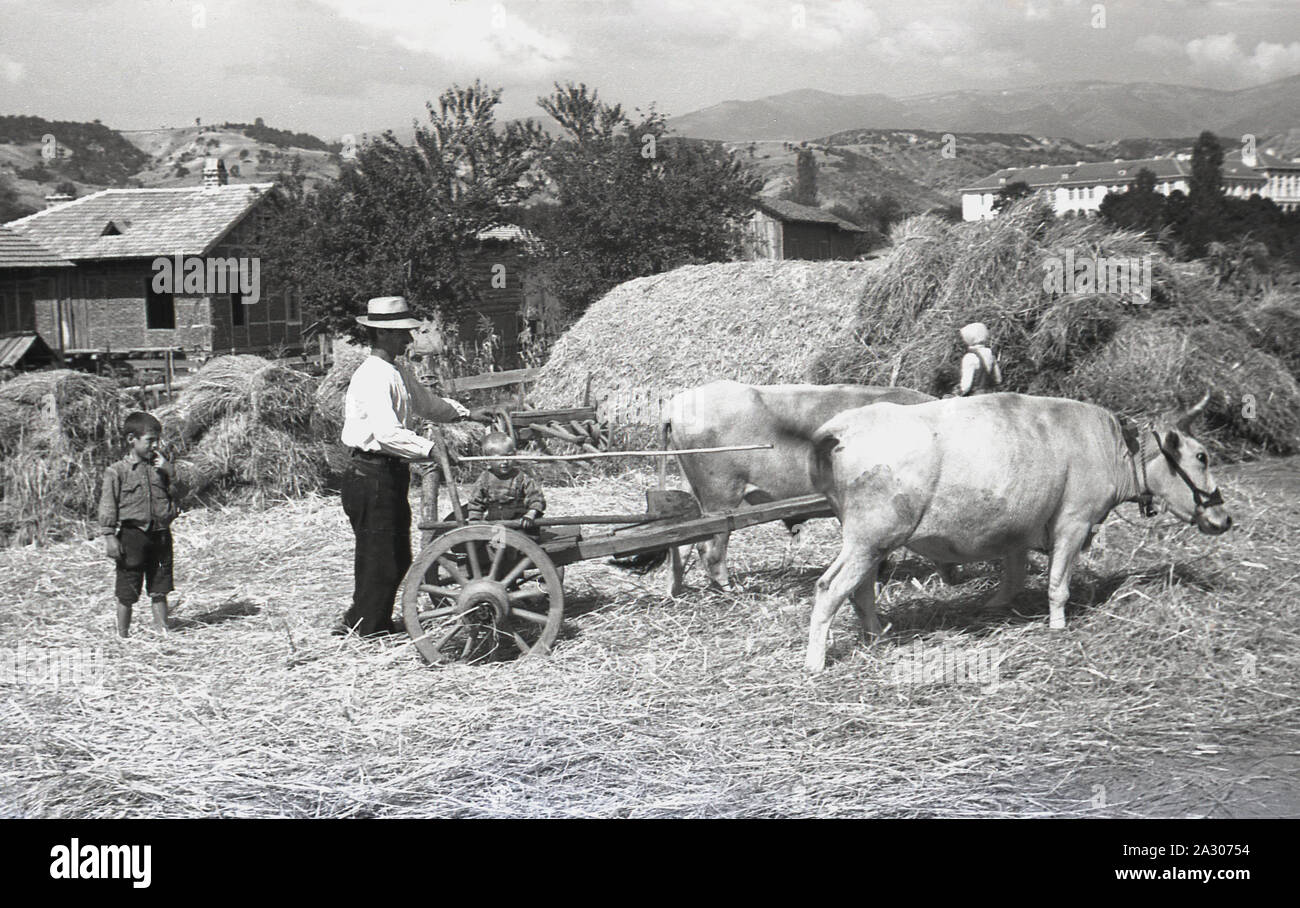 1930s, historical, Pre-war eastern europe, Yugoslavia, a farmer with ...