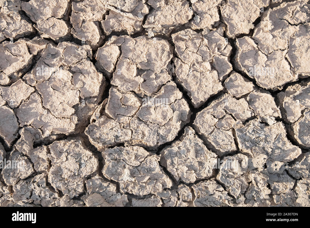 The soil has cracks in the top view of the background or graphic design ...