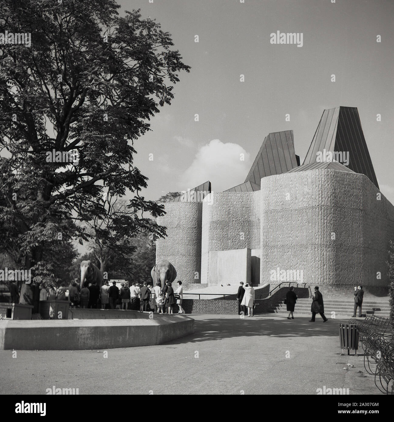 The zoo at regents park hi-res stock photography and images - Alamy