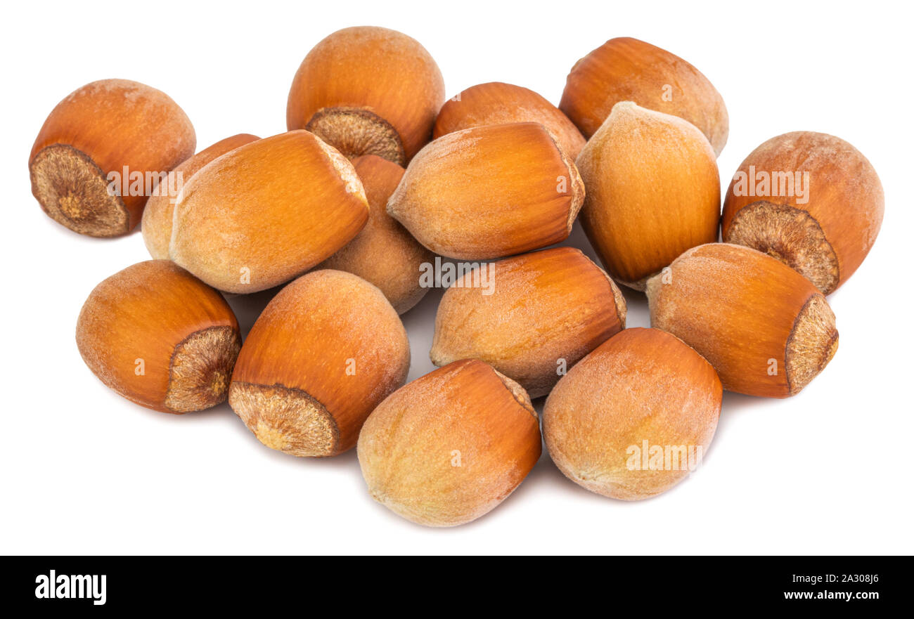 Hazelnut isolated on white background. With clipping path Stock Photo ...