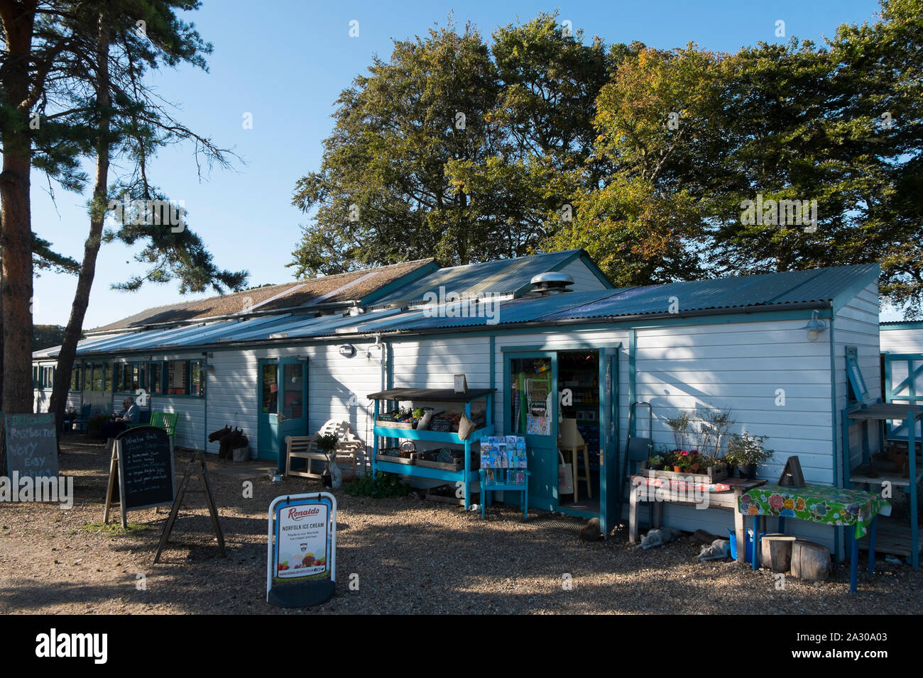 Pine trees outside the entrance to the shop and cafe at Wiveton Hall ...