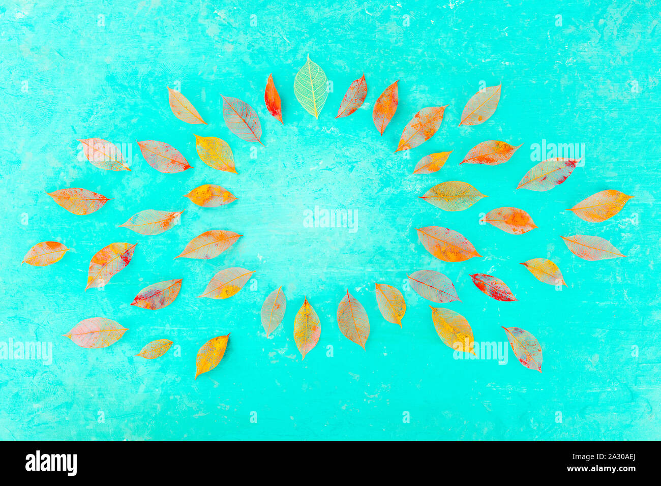 Autumn background with vibrant fall leaves on a teal texture, a design ...