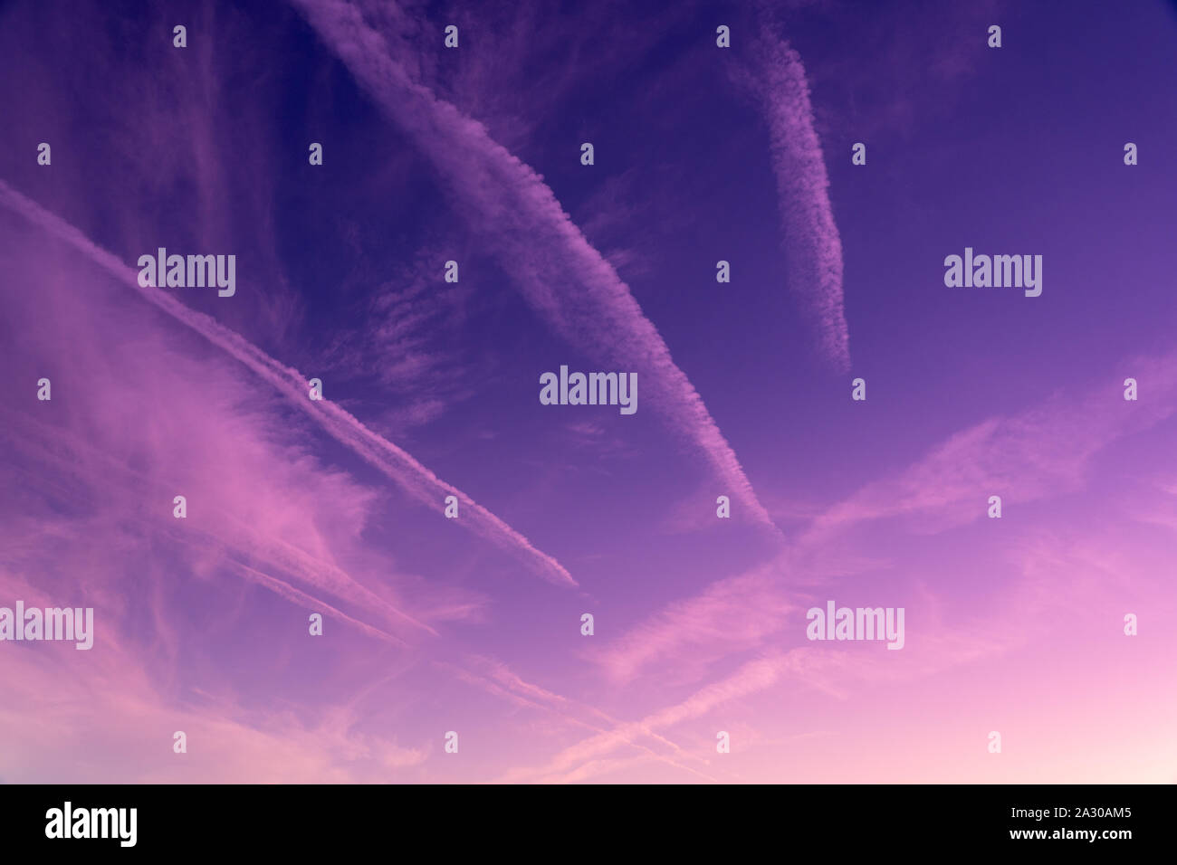 Beautiful purple sky during majestic sunset looking straight up to ...