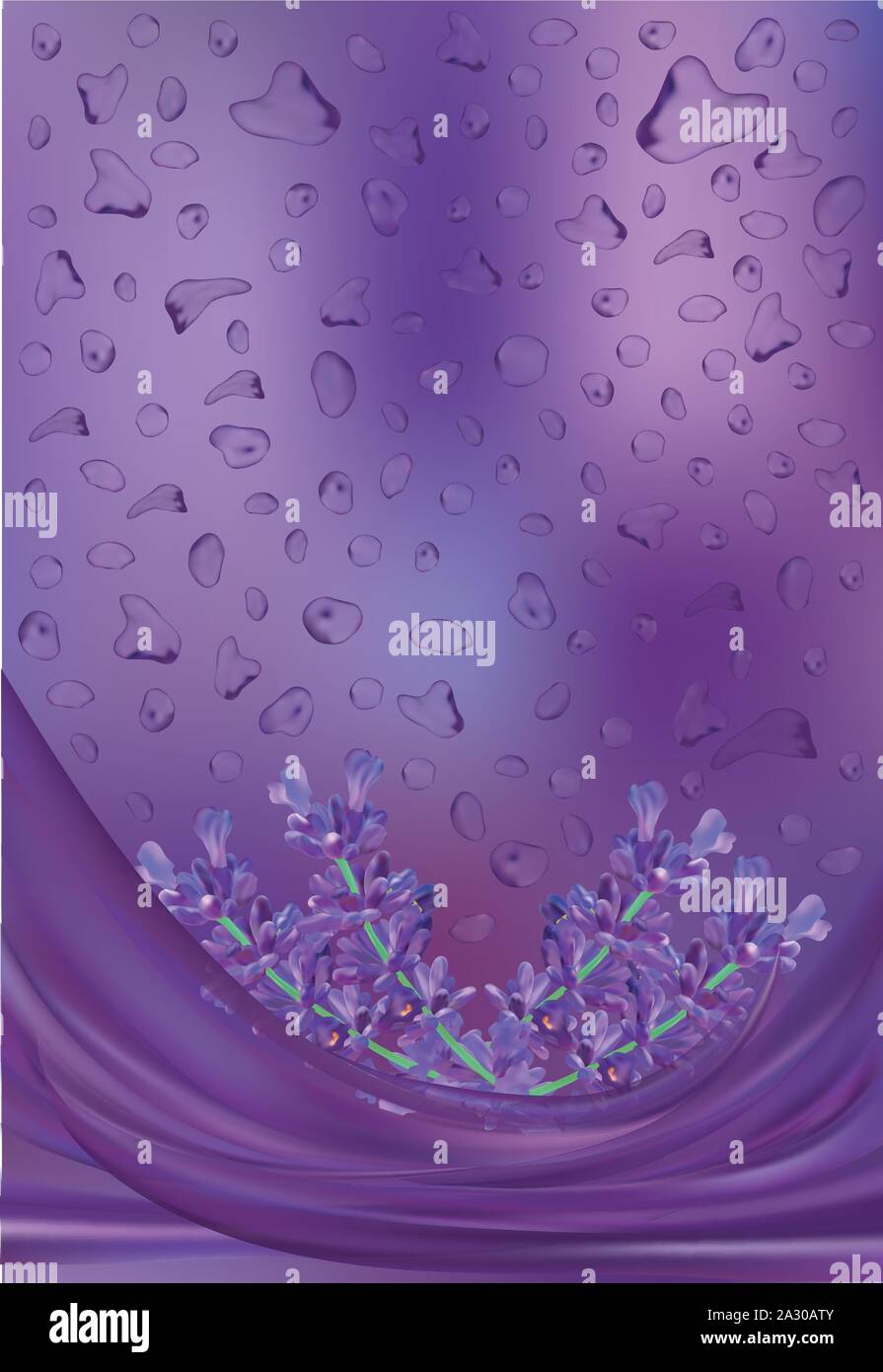 Violet lavender with drops water. Aroma lavender. Flower on violet ...