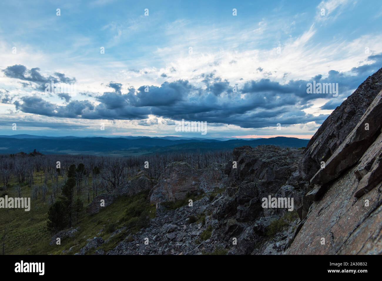 Landscape with dead forest Stock Photo - Alamy