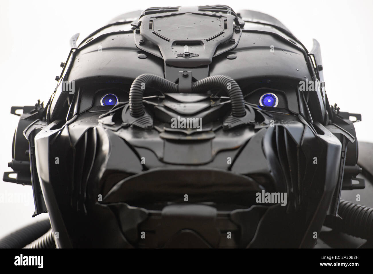 A 12ft sculpture of a gorilla, entitled 'Gorilla Apocalypse', created ...