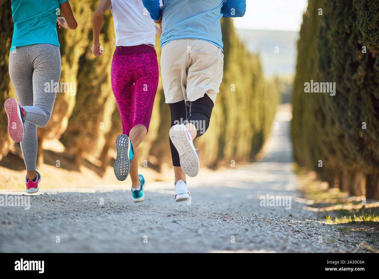Back view of a group of young sporty friends jogging Stock Photo - Alamy