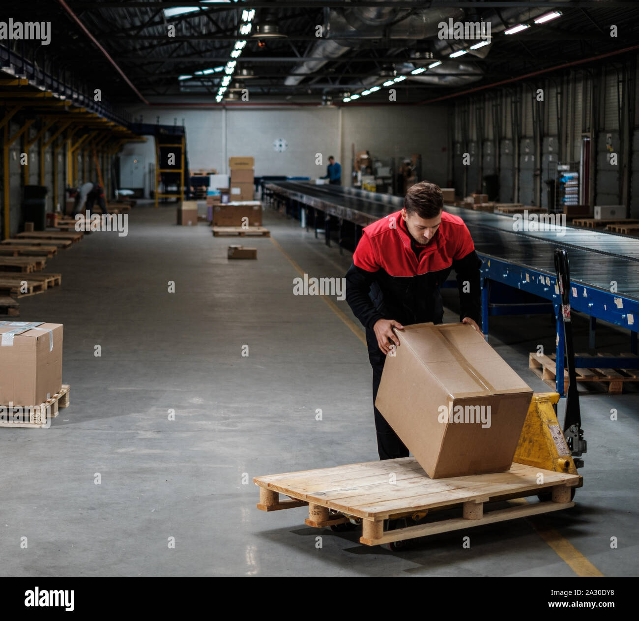 Warehouse worker with a pallet rack Stock Photo - Alamy