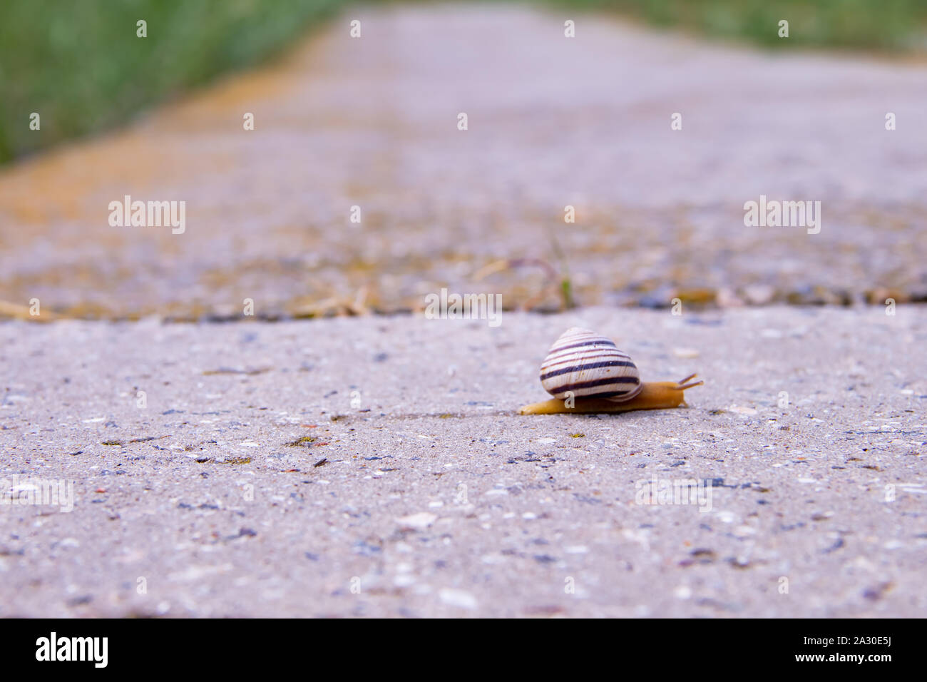 Closerange hi-res stock photography and images - Alamy