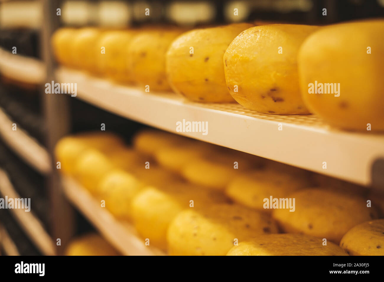 Cheese in a storage room Stock Photo - Alamy