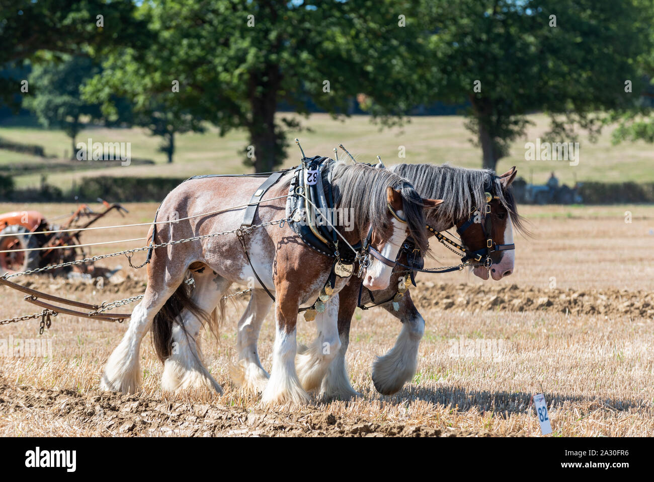 Kent Shire High Resolution Stock Photography and Images - Alamy