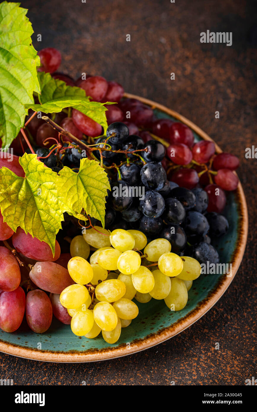 Different type of grapes hi-res stock photography and images - Alamy