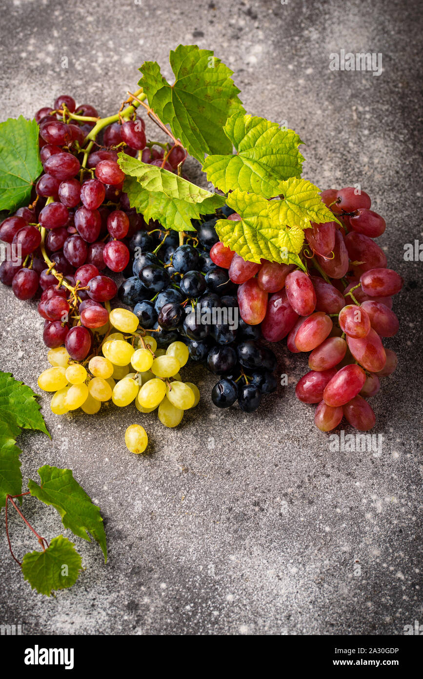 Assortment of different sort of grapes Stock Photo - Alamy