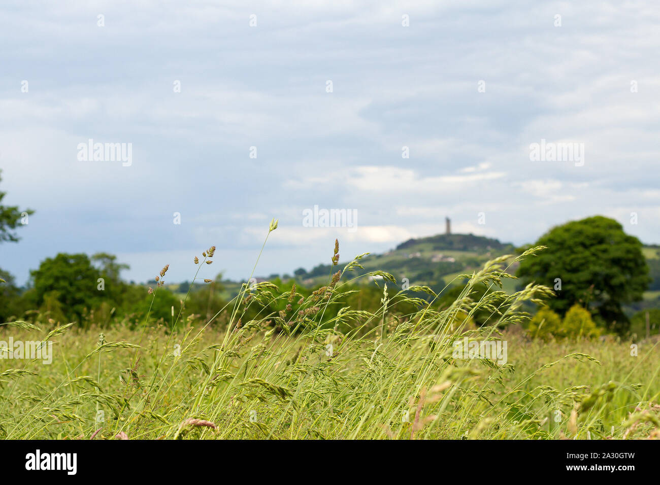 Field of grass and Castle Hill Stock Photo - Alamy