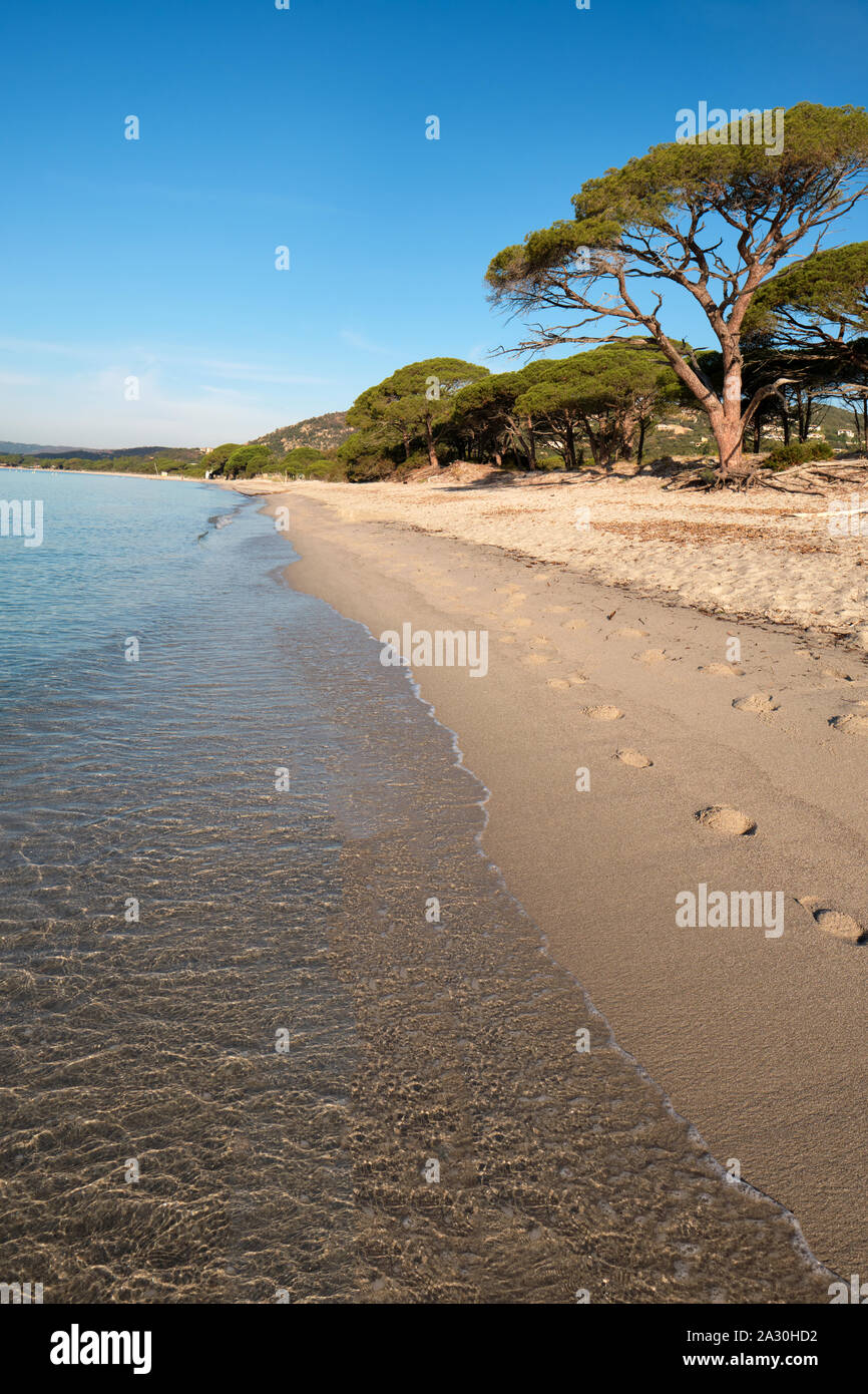 Plage de palombaggia corsica hi-res stock photography and images - Alamy