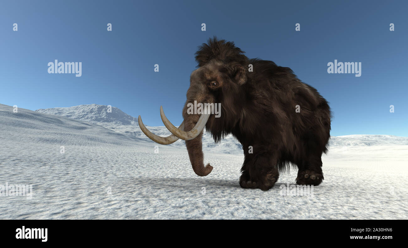 Extremely detailed and realistic high resolution 3d image of a mammoth ...