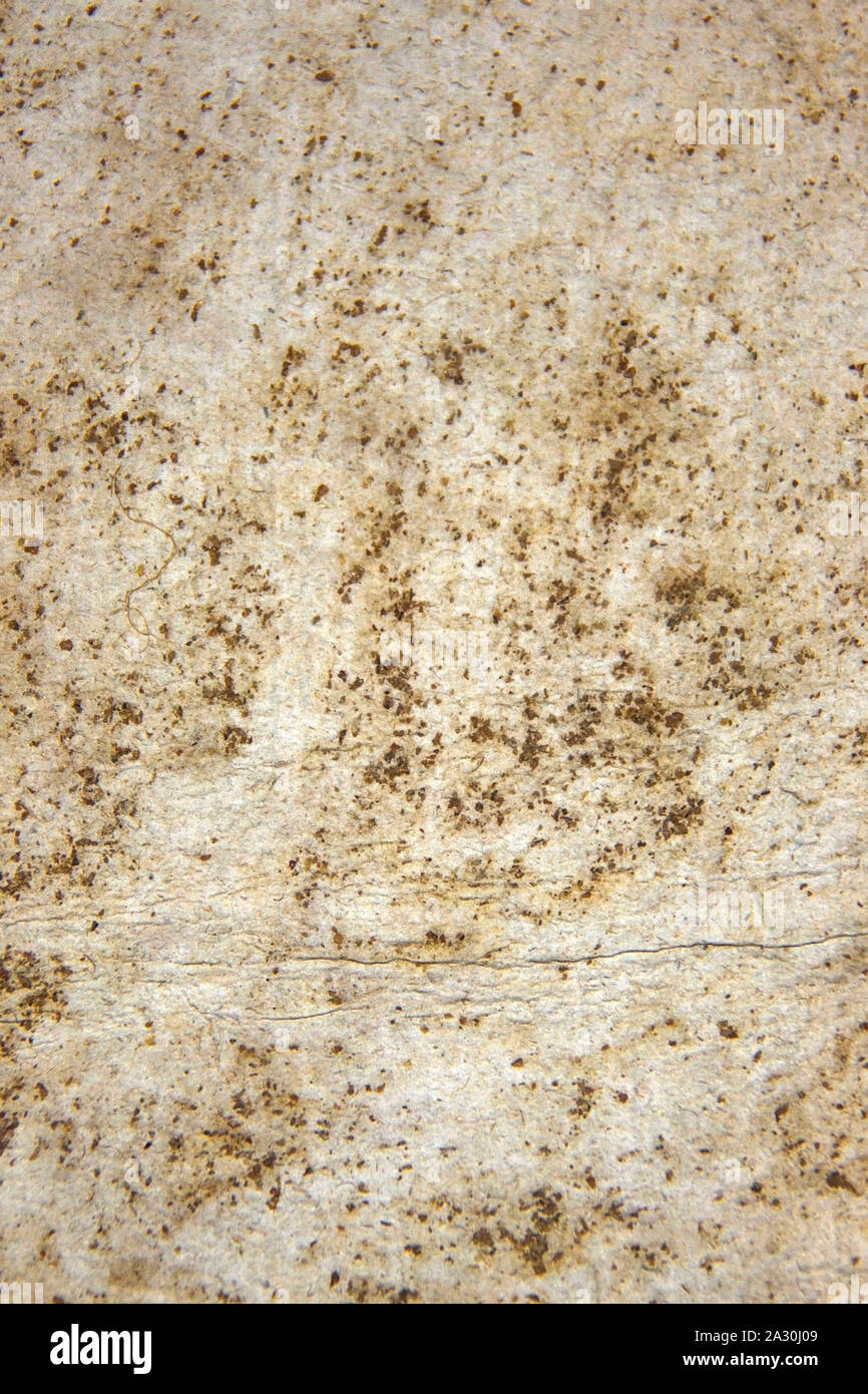 Old sheet paper close hi-res stock photography and images - Alamy
