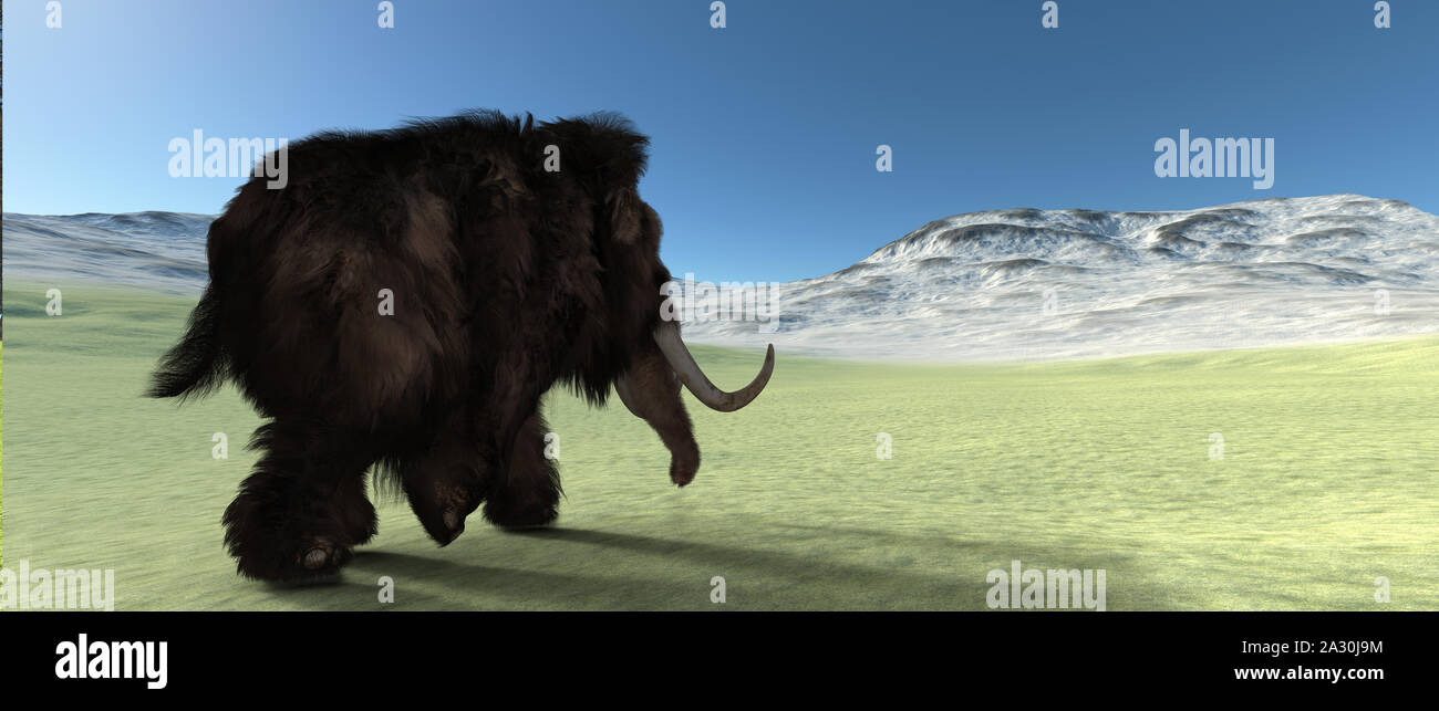 Mammoth Extremely detailed and realistic high resolution 3d image Stock ...